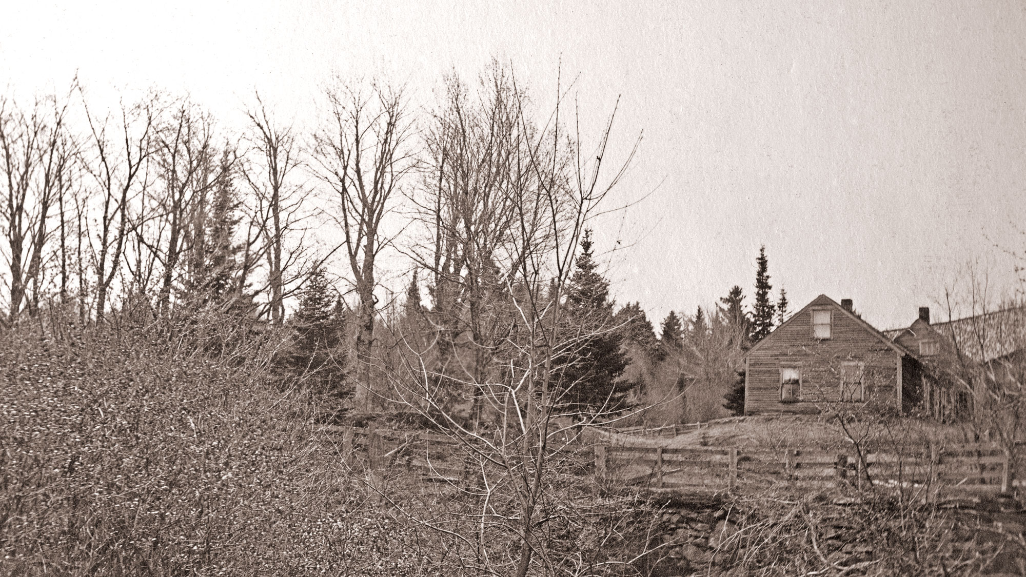 Mary Beecher Longyear: Historic Preservation Pioneer — Longyear Museum