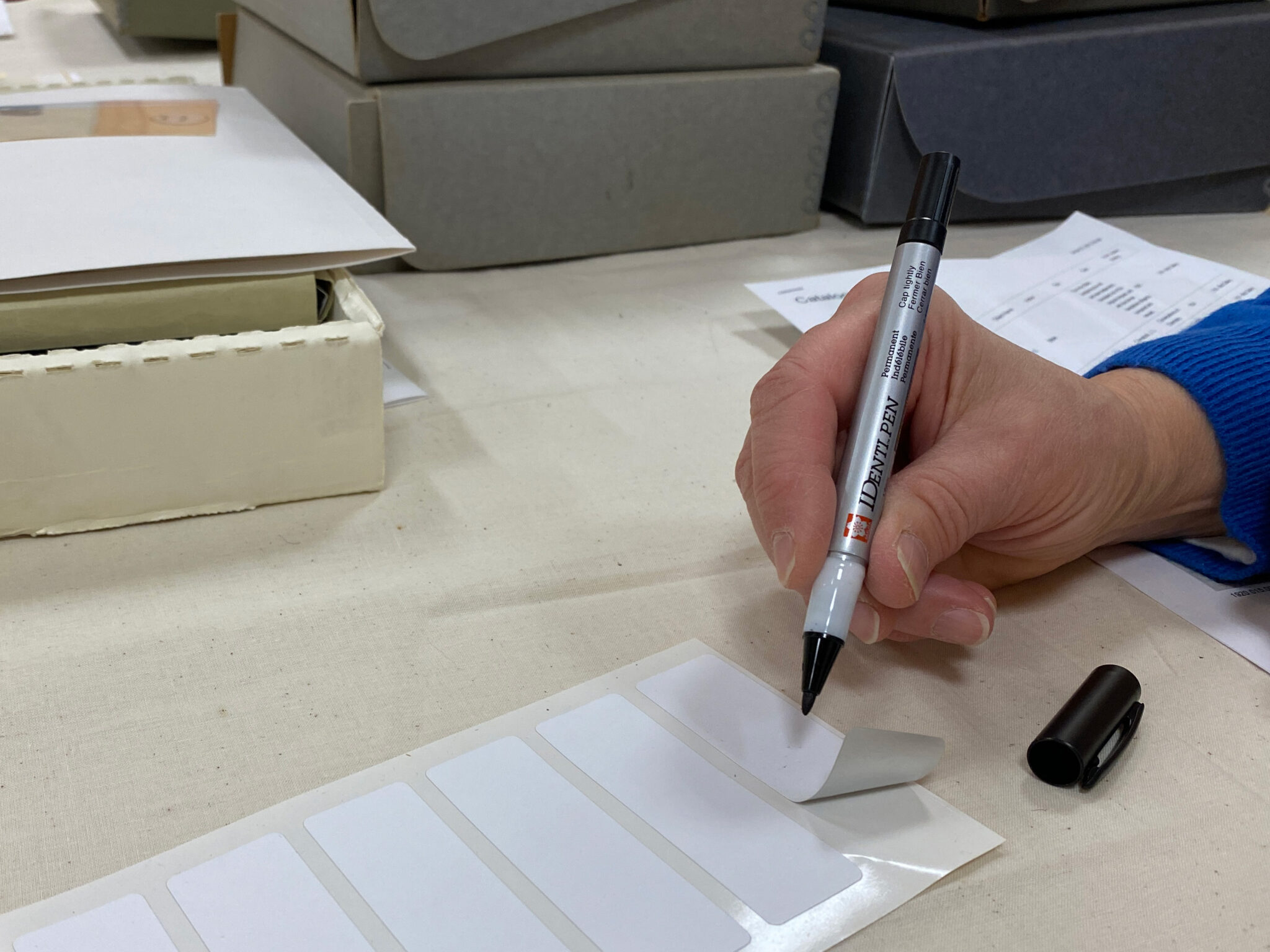 Behind the scenes at Longyear: Collections — Longyear Museum